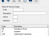 Place Of Service Codes